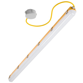 110v Lighting